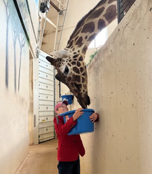 Scholarships - Henry Vilas Zoo