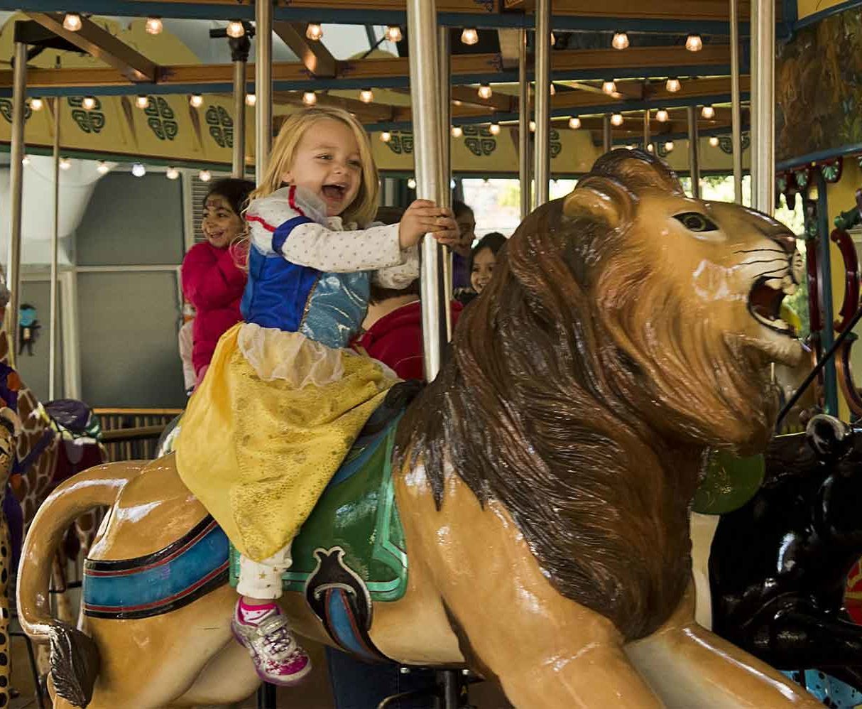 Visit Henry Vilas Zoo - Plan Your Trip - Henry Vilas Zoo