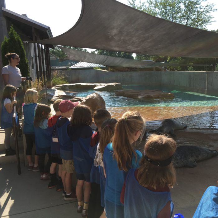 Zoo Camp - Educational Programs - Henry Vilas Zoo