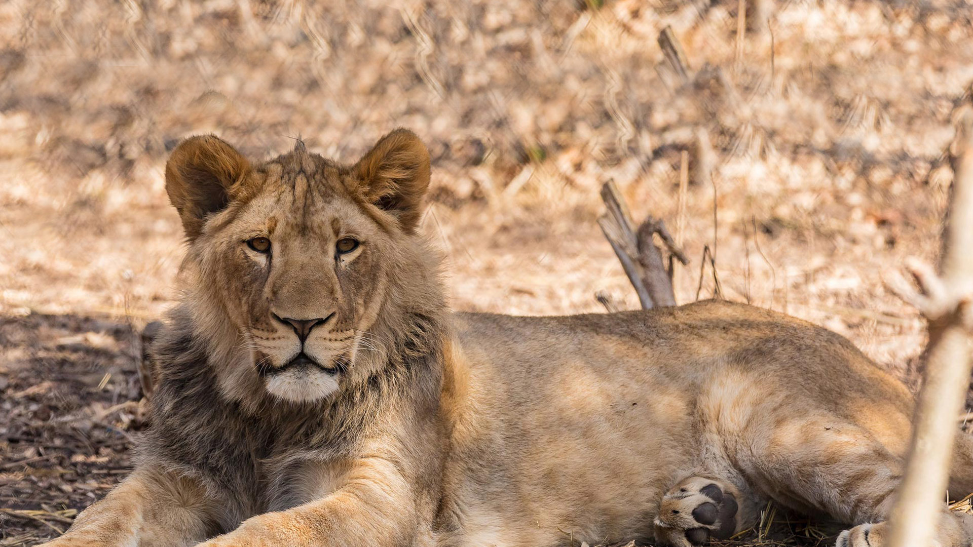 Zoo Exhibits & Attractions - Visit the Zoo - Henry Vilas Zoo