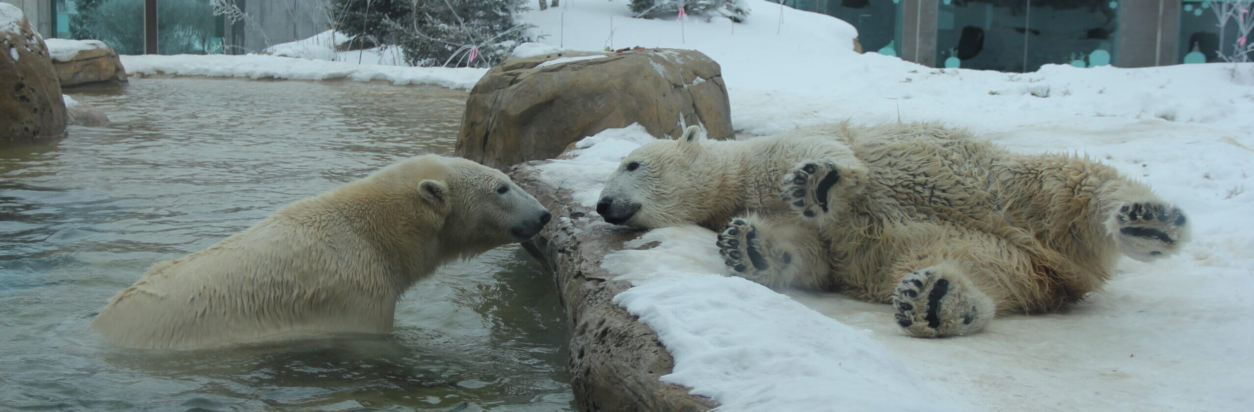 Behind the Scenes Tours - Henry Vilas Zoo