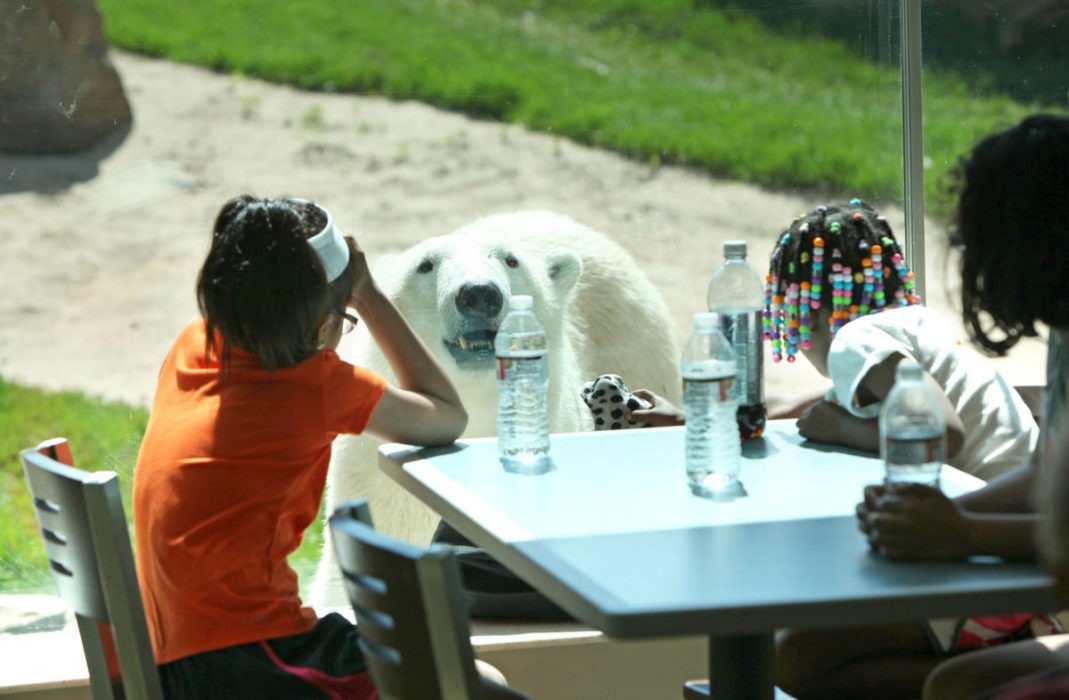 Visit Henry Vilas Zoo - Plan Your Trip - Henry Vilas Zoo