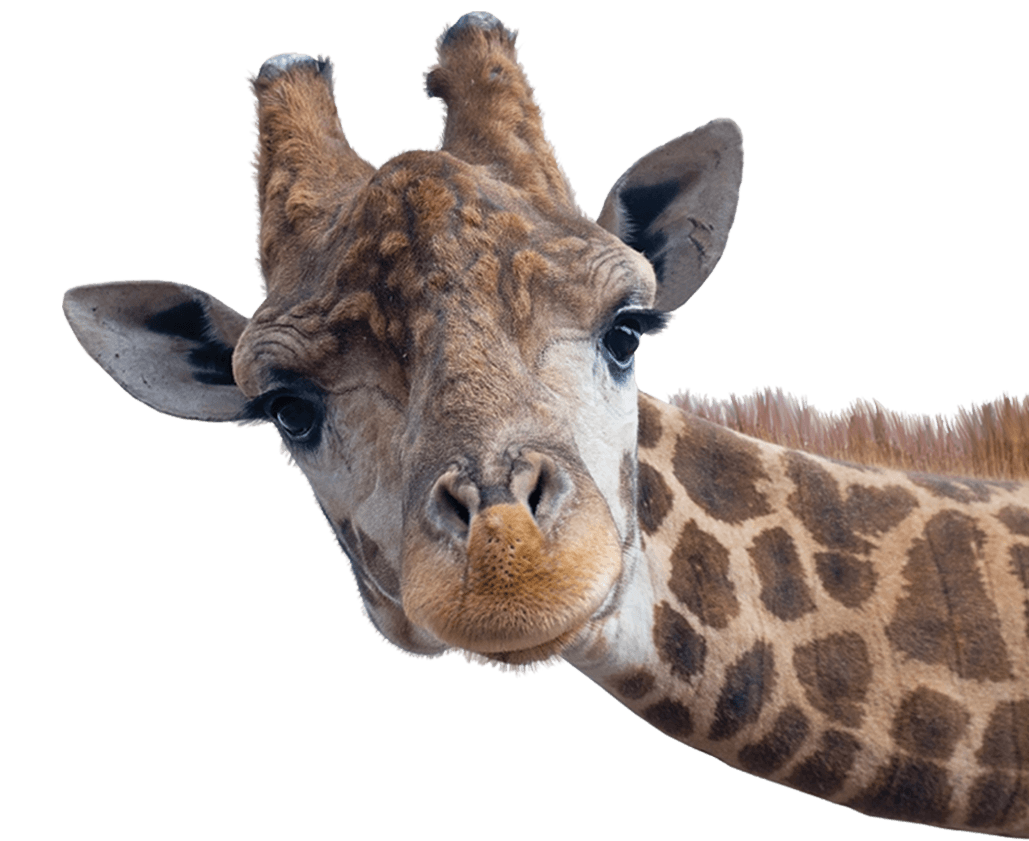 Welcome to Henry Vilas Zoo | Madison, Wisconsin